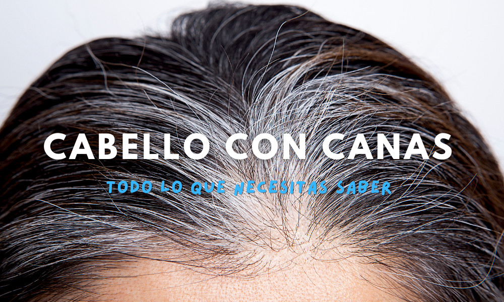 Todo lo que necesitas saber sobre el cabello con canas - Pichara